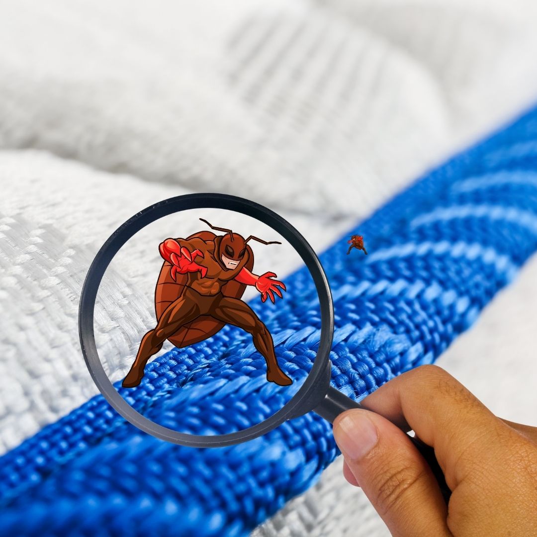 Bed Bugs | Heat Pest Services Bed Bug Treatment | Pest Control Heroes