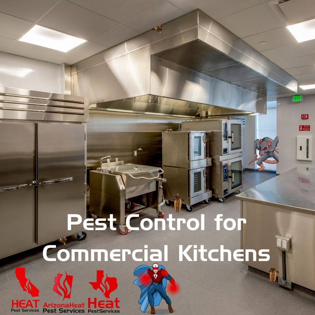 Commercial Services | Heat Pest Services Bed Bug Treatment | Pest ...