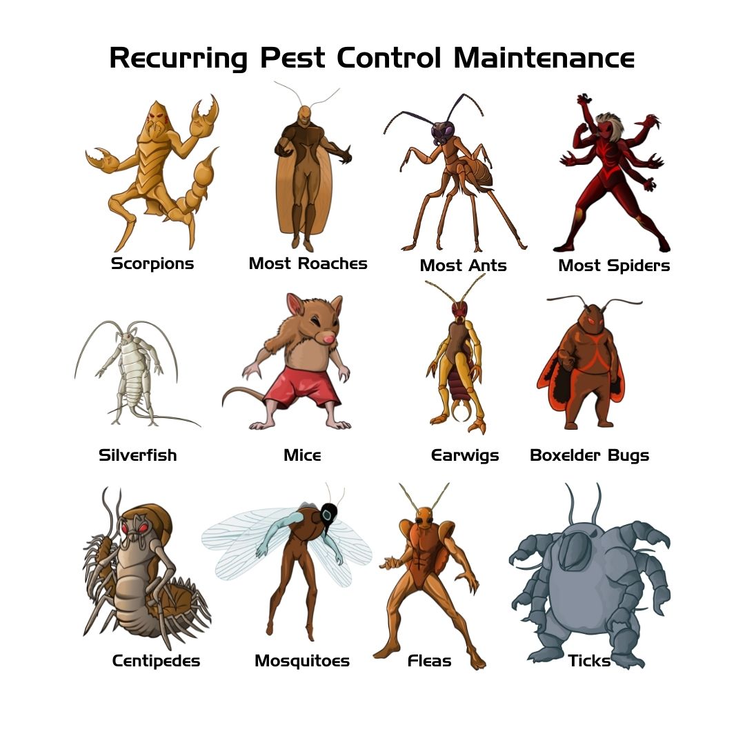 Residential Pest Control Services | Heat Pest Services Bed Bug ...